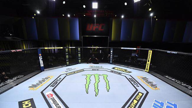 UFC公布11月返回拉斯维加斯后完整赛程安排_武术散打_新浪竞技风暴_新浪网