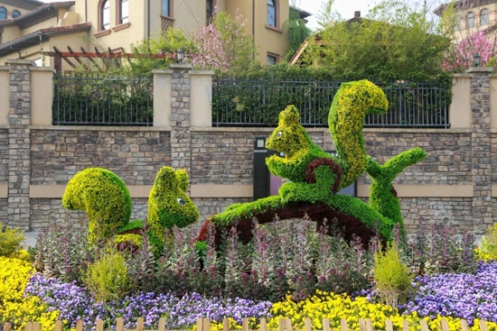 能源金贸区完成多条道路主要节点的花卉景观提升工作_新浪陕西_新浪网