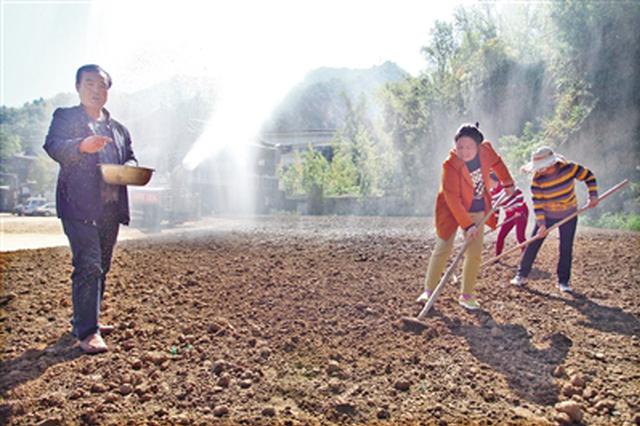 长安区全速跟进秦岭违建拆后复绿 共拆除违建721宗_新浪陕西_新浪网