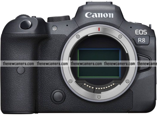 佳能EOS R Mark II（EOS R8）规格曝光|佳能|EOS R Mark II_新浪科技_新浪网