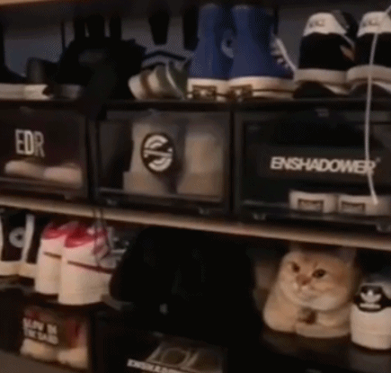 markdown 添加视频、音频、gif_markdown上传视频-CSDN博客