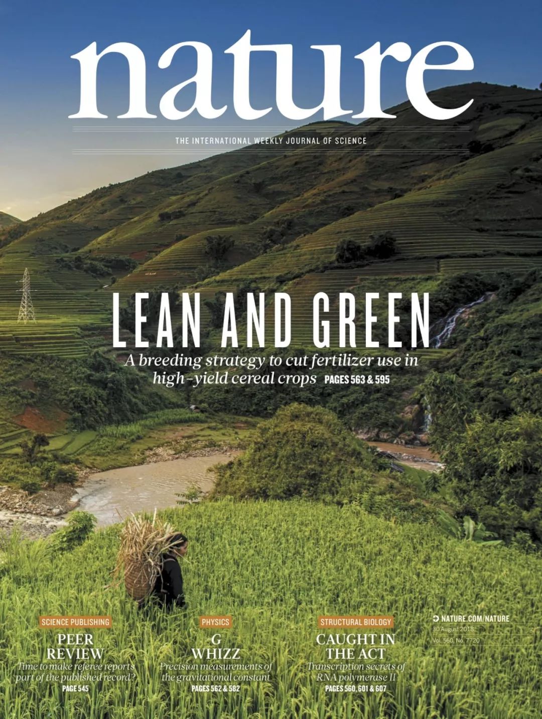 Nature150岁生日：盘点史上十大重磅论文，中国13篇文章登上封面！|Nature|系外行星|基因组_新浪新闻
