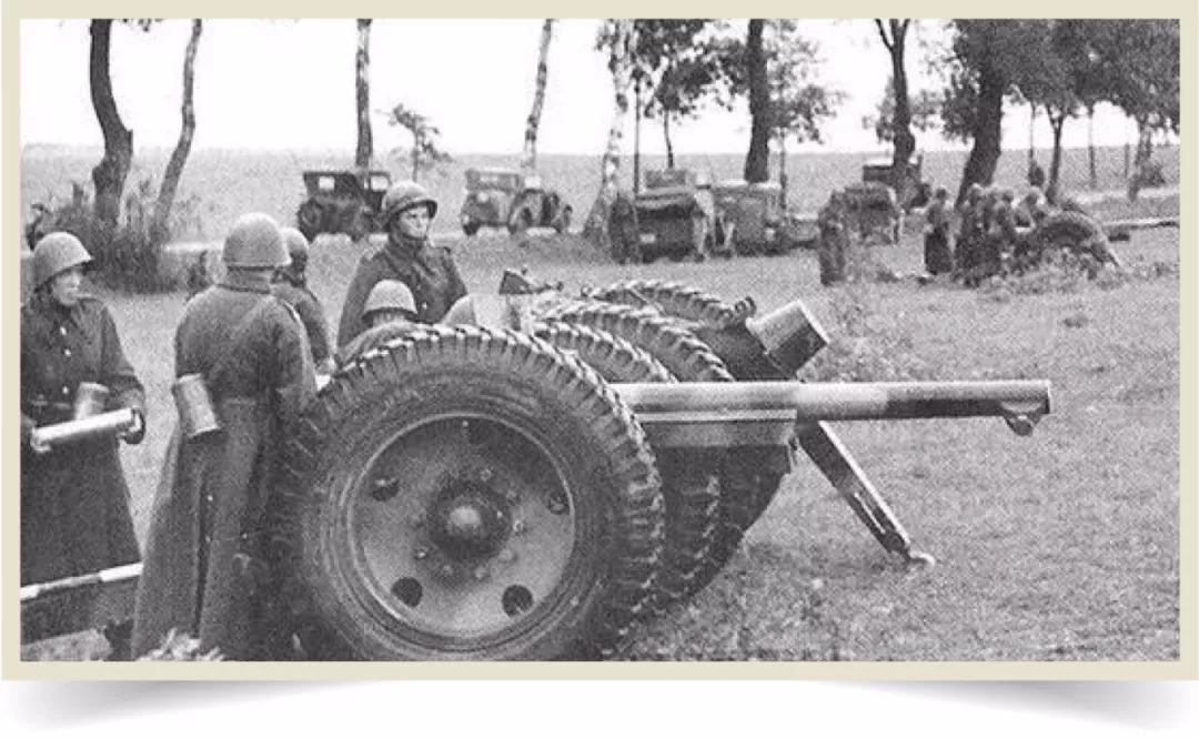 二营长，你的意大利炮呢|武器|军火库|营长_新浪新闻