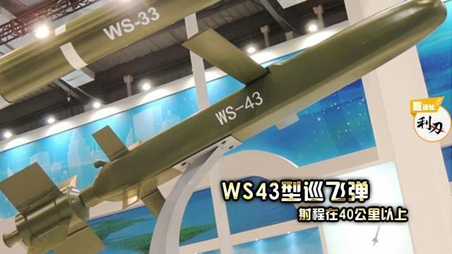 国产WS43型巡飞弹系统攻击侦查两不误 随时准备攻击目标_手机新浪网