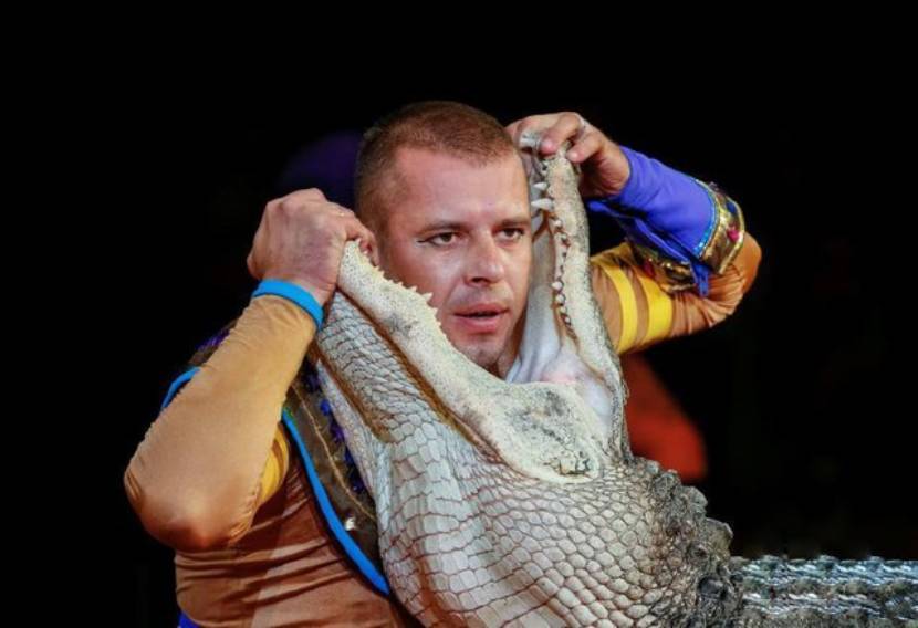 没有动物表演的马戏团将迎来世界末日？_手机新浪网