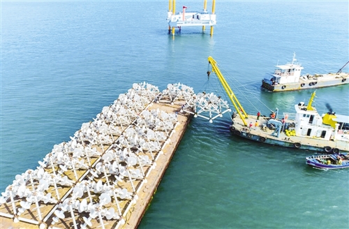 【关注】人工鱼礁是个啥？海洋正在变得不一样|黄海|海洋|牧场_新浪新闻