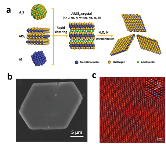 亚稳相二硫化钼的制备、结构解析及基本物性研究获进展|纳米|二硫化钼|晶体_新浪新闻