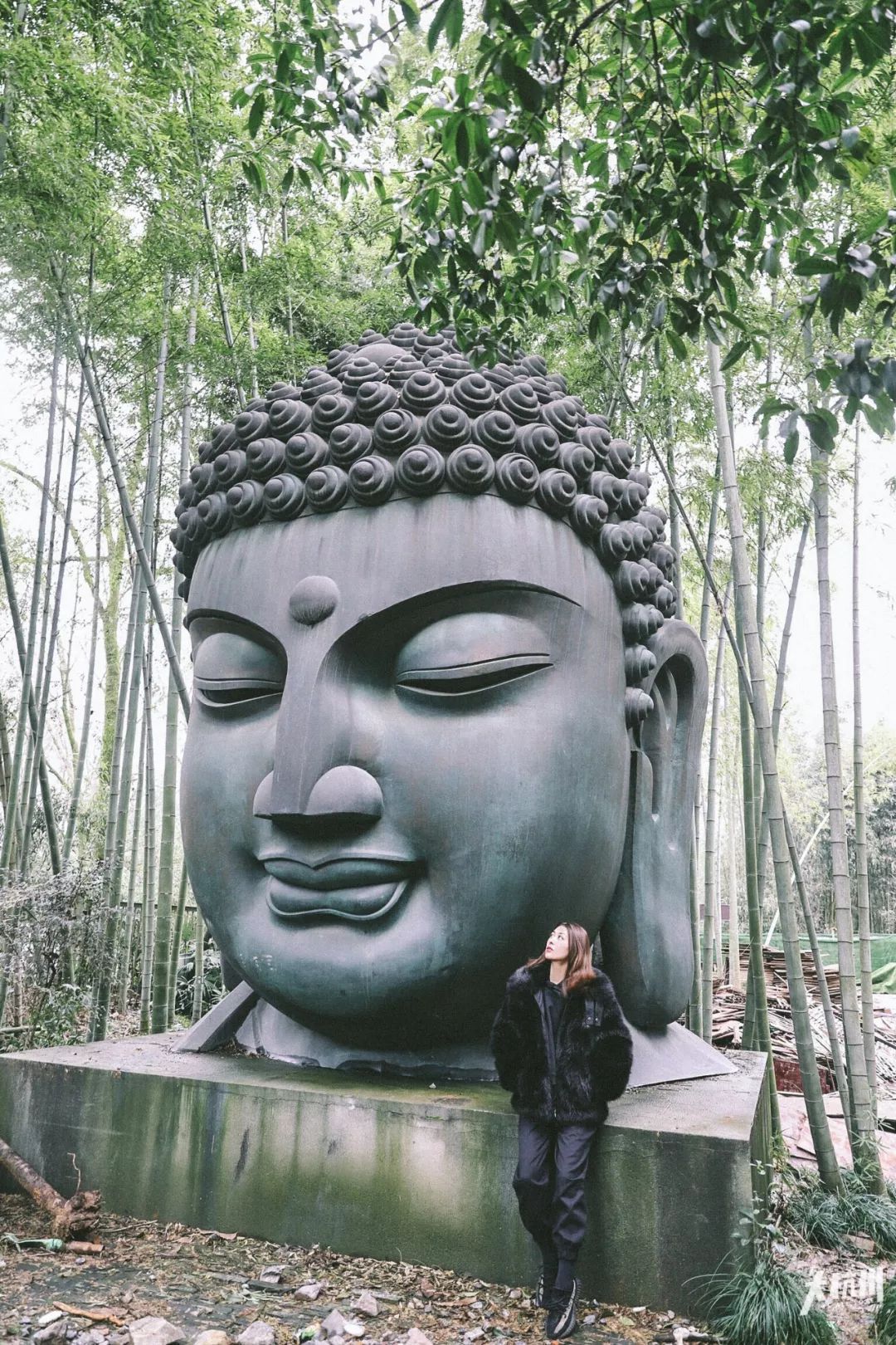 要火！6米佛头藏身竹林，杭州99%的人都不知道！|植物园|艺术馆|佛头_新浪新闻