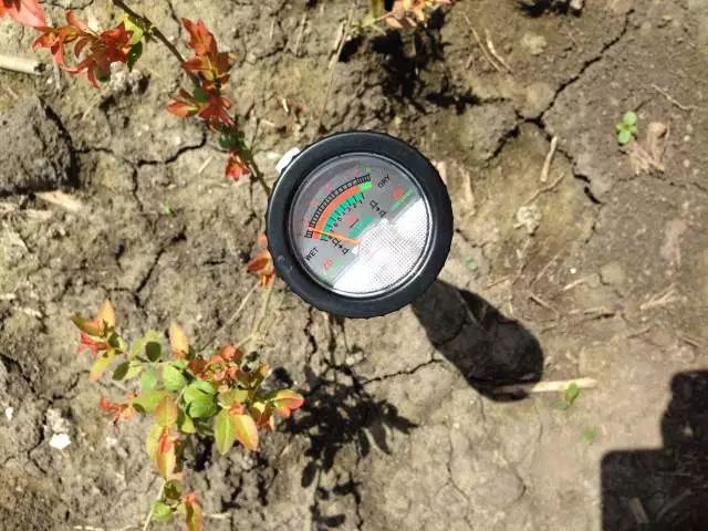 土壤pH5.8到底比pH6.6酸多少？|pH值|酸度|土壤_新浪新闻