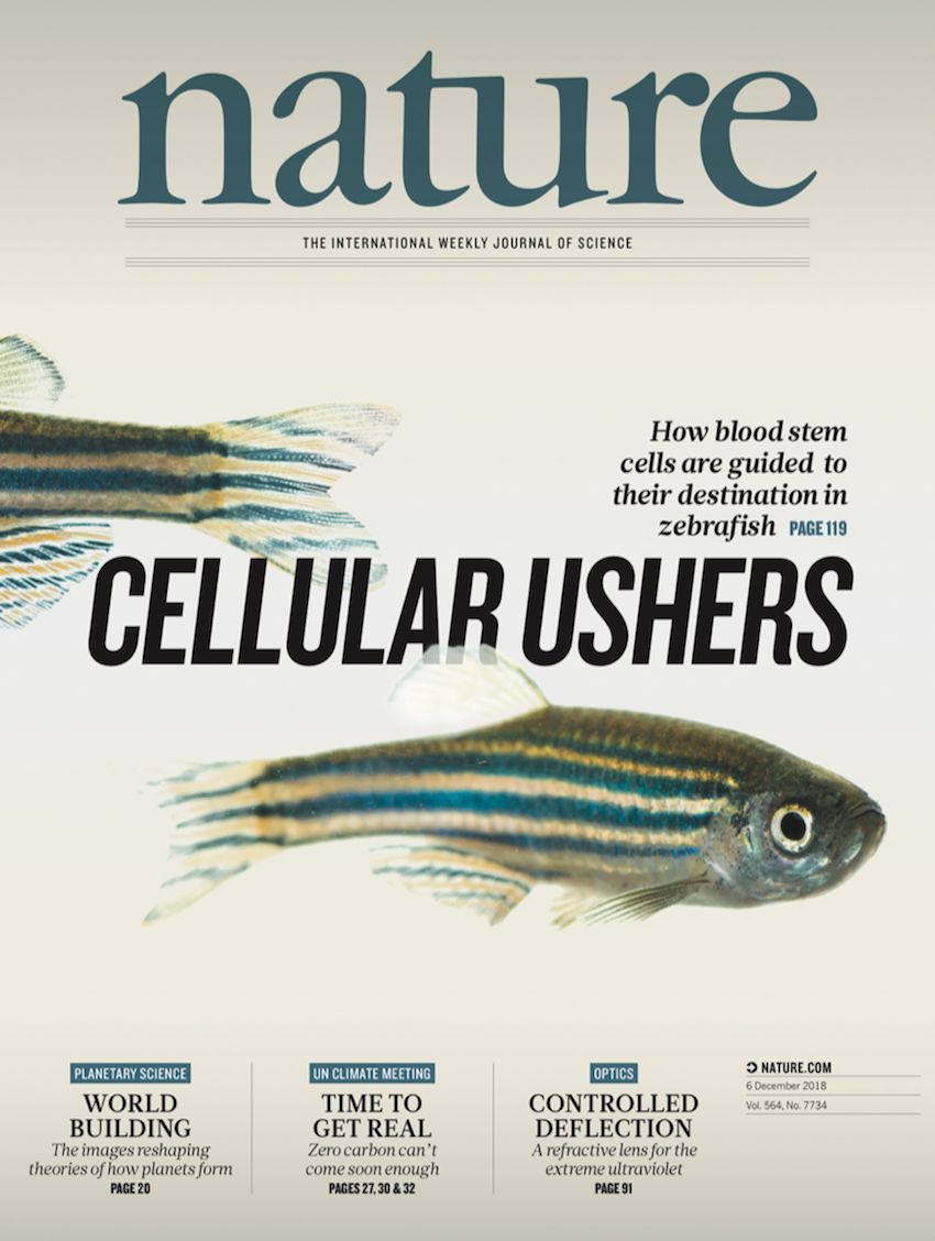 Nature150岁生日：盘点史上十大重磅论文，中国13篇文章登上封面！|Nature|系外行星|基因组_新浪新闻