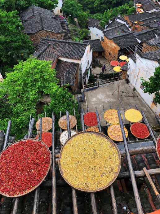 篁岭晒秋节开幕！这个诗意的小村庄，分分钟逼疯摄影师！|乔峰|虫|大侠_新浪新闻