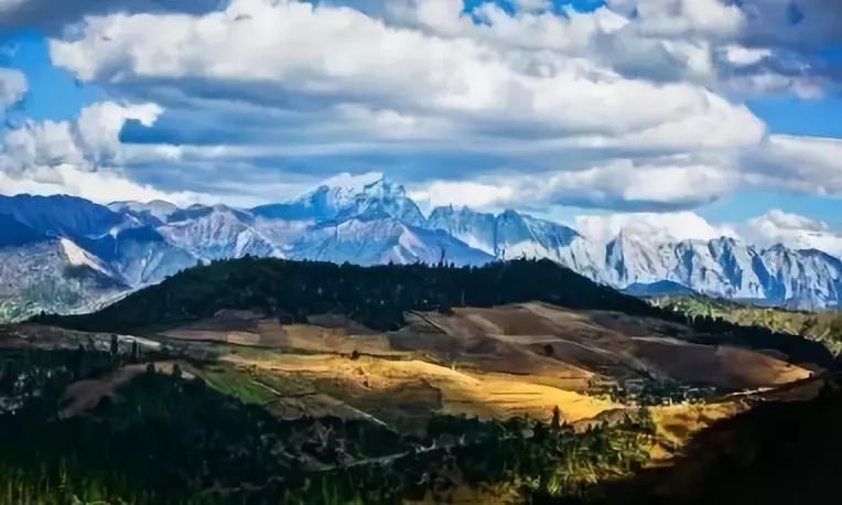 王雁翔｜我在夏日岭南想念天山下的寒冷|500px_新浪军事_新浪网