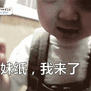 老婆我来了表情包合集|表情包_新浪新闻