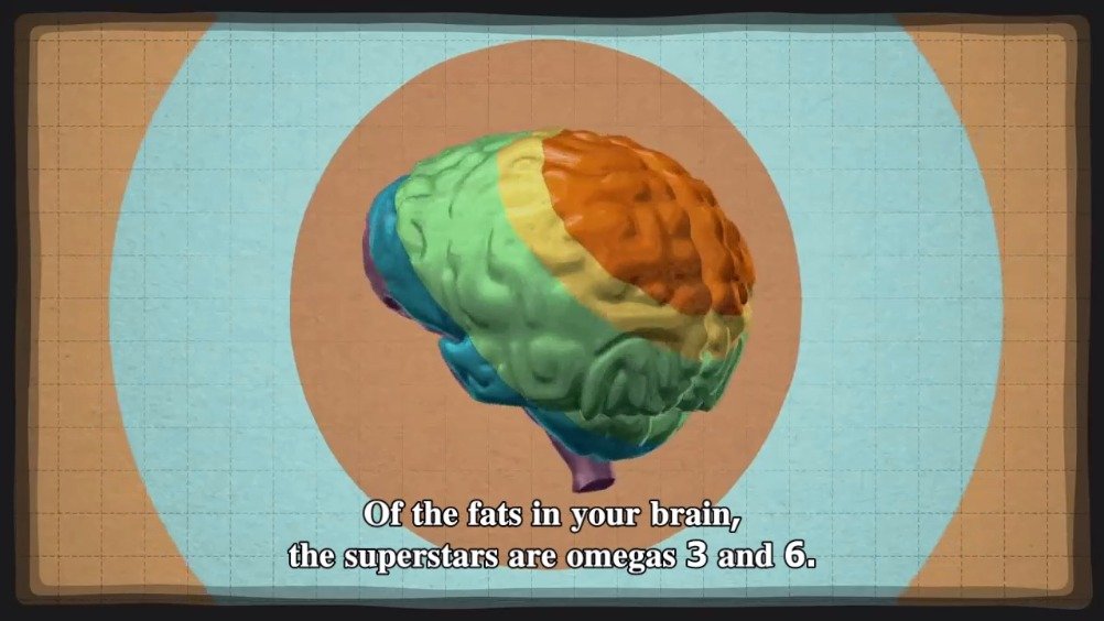 TED-Ed：食物是如何影响你的大脑的？_手机新浪网