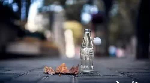 【Amazing China】立夏，我们聊聊节气！是谁把二十四节气带进了联合国总部展出（奉送节气英文说法）