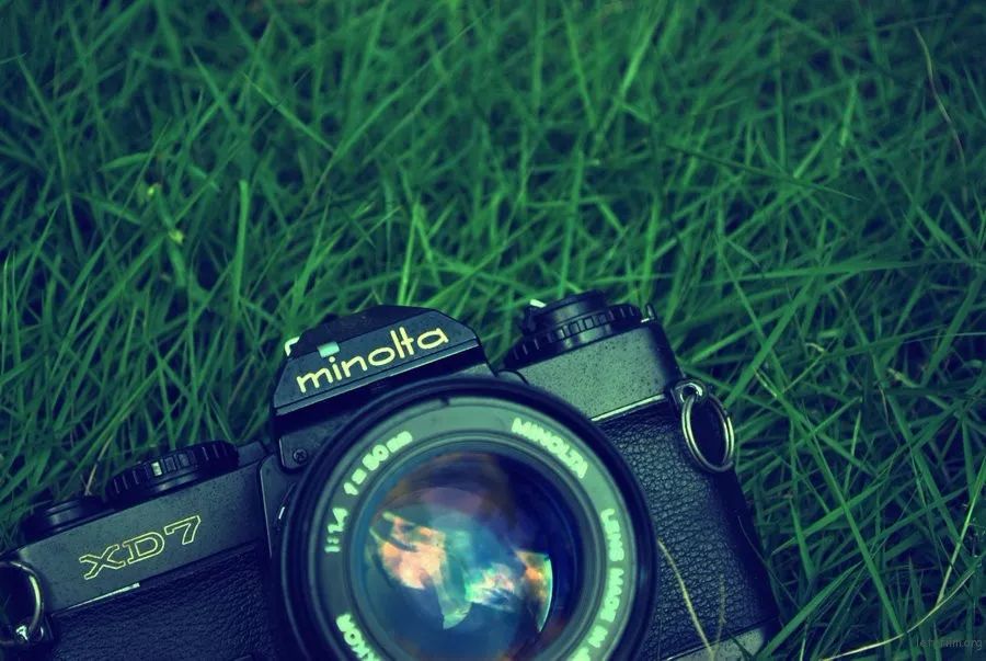 Minolta XD7